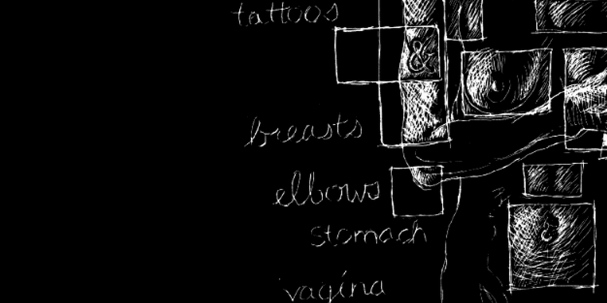 Rhizome > blog > On the front page: Shelley Jackson's feminist ...
